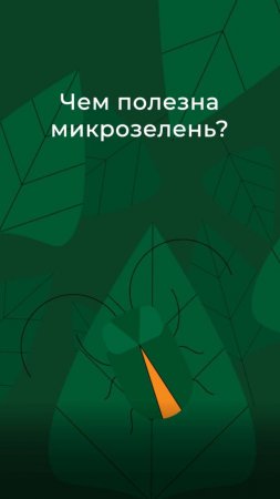 Чем полезна микрозелень?
