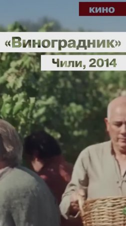 «Сумерки» в Андах. Обзор фильма ужасов «Виноградник» (Чили, 2014)