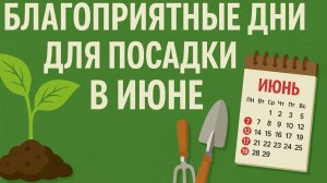 Благоприятные дни для посадки растений в июне 2025 года по Лунному календарю