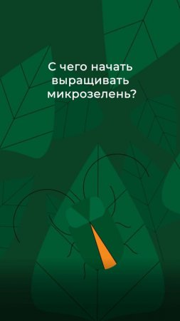 С чего начать выращивать микрозелень?