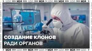 Американские ученые предложили создавать клонов для трансплантации органов - Москва 24