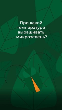 При какой температуре выращивать микрозелень?