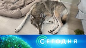 «Сегодня»: 4 июня 2025 года. 16:00 | Выпуск новостей | Новости НТВ