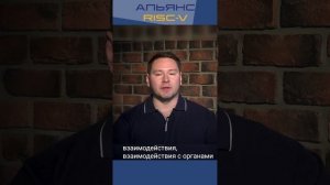 Антон Плесков, Альянс RISC-V - Правовой комитет: направления и результаты работы