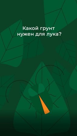 Какой грунт нужен для лука?