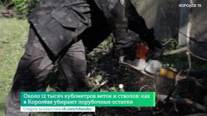 Около 12 тысяч кубометров веток и стволов: как в Королёве убирают порубочные остатки
