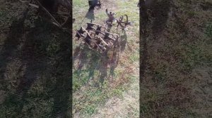 Мотоблок НЕВА з усима прибамбасами для дому