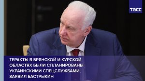Теракты в Брянской и Курской областях были спланированы украинскими спецслужбами, заявил Бастрыкин