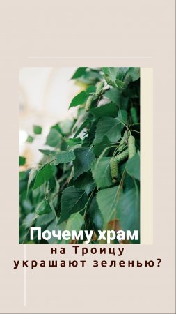 Почему храм на Троицу украшают зеленью?