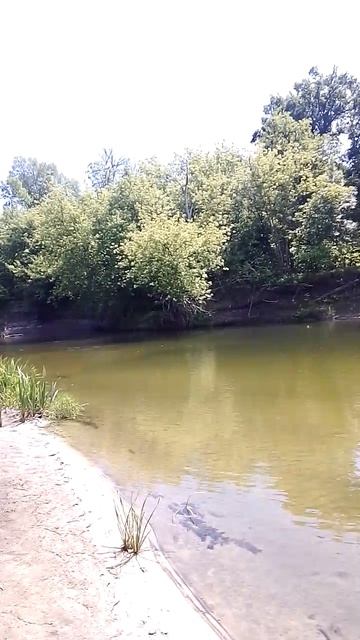 VID_2025-06-03-13-05-02-393.mp4