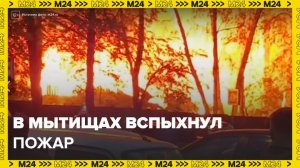 Пожар произошел в подмосковных Мытищах - Москва 24
