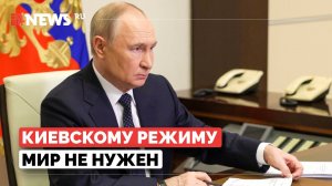 Киеву мир не нужен. Отказ Украины от перемирия в этом убеждает, заявил Путин