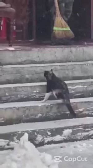Когда на улице очень холодно!