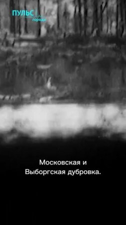 Защитим город Ленина