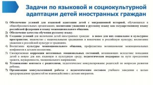 В Просвете обсудили вопросы языковой и социокультурной адаптации школьников