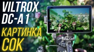 VILTROX DC-A1 обзор накамерного монитора с ПРЕВОСХОДНОЙ картинкой 7" экран, 2800 нит, Type-C, 60Hz