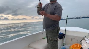 Рыбалка в Сириусе 03.06.2025. Кика, морской ёрш, толстая ставрида и зеленуха.