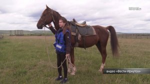 Потерявшихся людей в лесах Иркутской области теперь будут искать с помощью лошадей