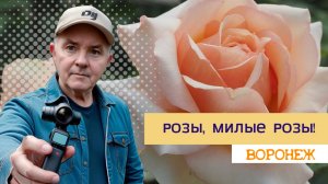 Розы, милые розы!