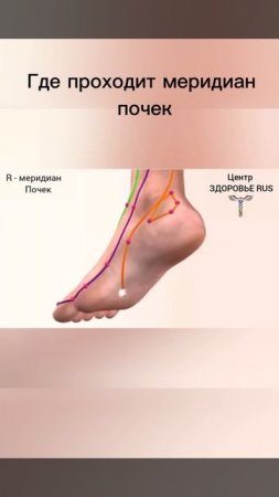 💧СТИХИЯ ВОДА и диагностика органов с #AkuScan