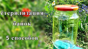 Стерилизация банок для заготовок на зиму. 5 способов.