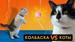 ЧЕЛЛЕНДЖ для ЖИВОТНЫХ А НУ КА ДАВАЙ КА ! СОРВИ КОЛБАСКУ ЧТОБЫ ВЫЖИТЬ!  МАЛЫШ VS МУРКА КТО ПОБЕДИТ?