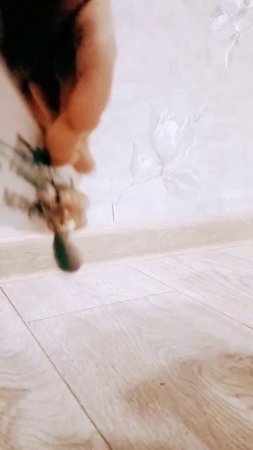 снасть убийца карася!