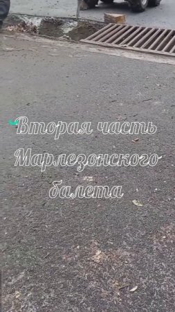 #юмор_2