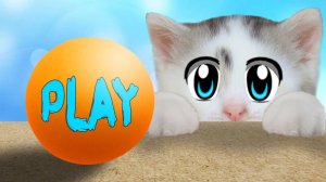 ПРИКОЛЫ с КОТАМИ! КОТ МАЛЫШ И КОШЕЧКА МУРКА А НУ КА ДАВАЙ КА ! Новые игры с котами и смешные приколы