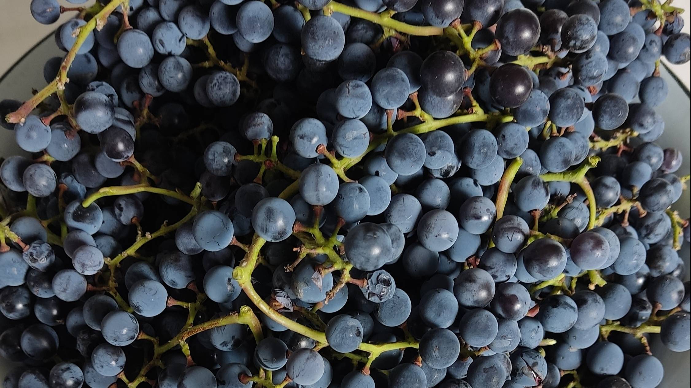 Мой первый виноград.mp4