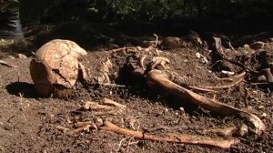 май 2010.Батарея Воробьева на Мекензиевых горах