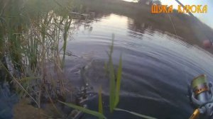 🔥 Обзор ВОБЛЕРОВ на щуку для МЕЛКОВОДЬЯ (часть 3). Мала