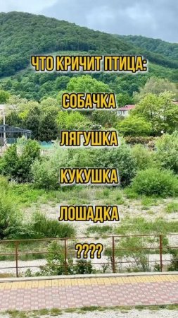 Викторина