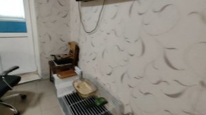 Котёнка надо кормить