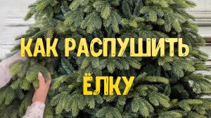 Как распушить ветки на елке