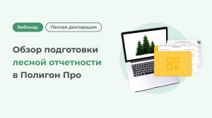 Обзор подготовки лесной отчетности в Полигон Про