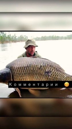 Выбери себе улов !! #рекомендации #рыбалка #carpfishing #fishing #