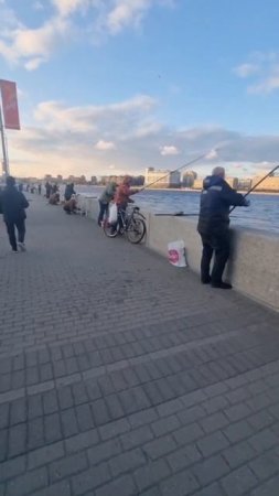 Вот так ловят корюшку в Санкт-Петербурге возле Смольн?