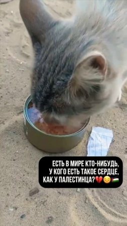 Есть в мире кто-нибудь, у кого есть такое сердце, как у ?