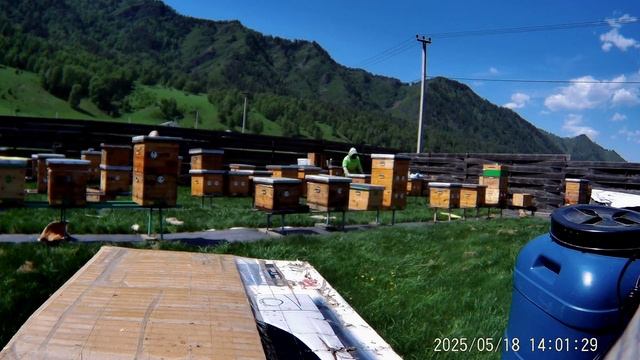 2025_0518_135630_045