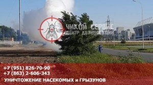 🦟 Летающие насекомые атакуют? Пора дать отпор! 🦟✋