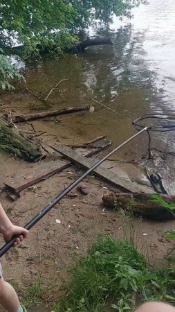 Наконец-то клюнул. Хоть и маленький, но приятненький #рыбалка