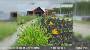 05 июня 2025 года ФИНАЛ завершение посадки цветов на главной клубе посёлка!