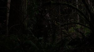 Гримм: «Древочеловек» (06 сезон 09 серия), смотреть сериал бесплатно