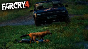 МУЖИКИ НЕ НА ТОТ РАЙОН ЗАБРЕЛИ | АРМИЯ КОРОЛЯ | ПРОХОЖДЕНИЕ FAR CRY 4 БЕЗ КОММЕНТАРИЕВ | КОНЕЦ АМИТЫ