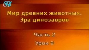 Динозавры # 2.9. Хищные динозавры. От карликов до гигантов