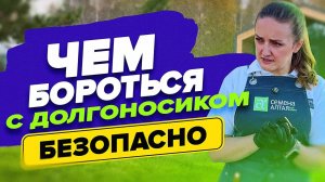 ЧЕМ ОБРАБОТАТЬ КЛУБНИКУ ПРОТИВ ДОЛГОНОСИКА