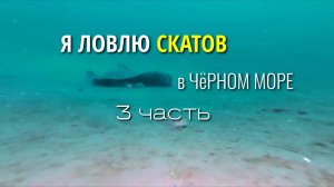 Я ловлю скатов в Черном море на проверенной точке возле Геленджика. 3 часть