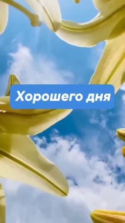 #напозитиве