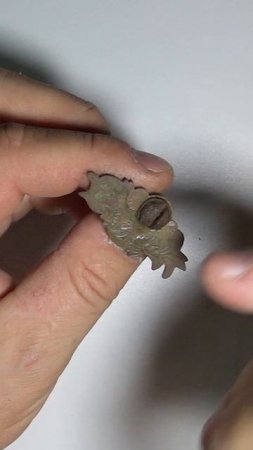 Неведомое нечто #shorts #неведомоенечто #metaldetecting  #находкисметаллоискателем #нашли